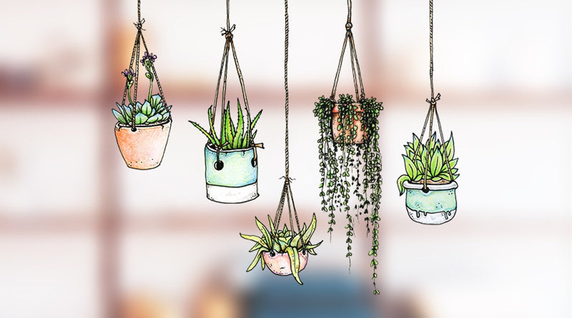 Illustrated Hanging Plants Window Stickers Reusable No - Etsy