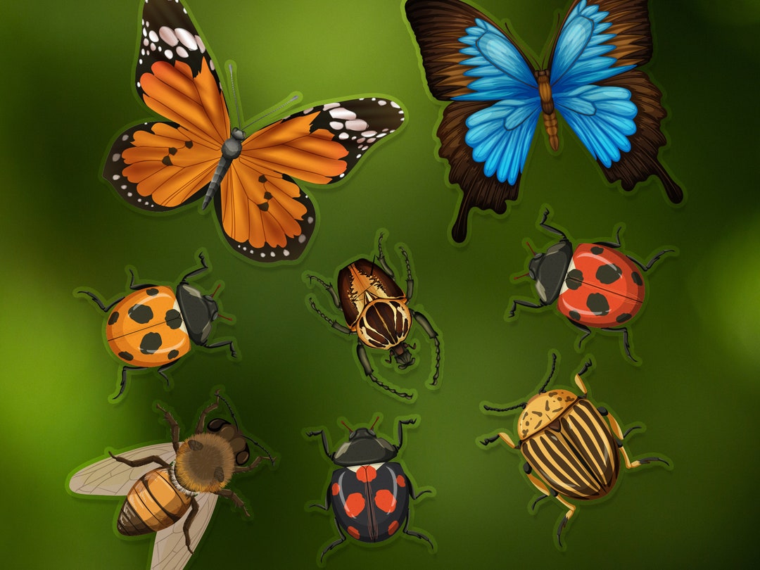 Bees 'N' Bugs DOUBLE SIDED Window Cling Stickers - Pack of 26 Insect ...