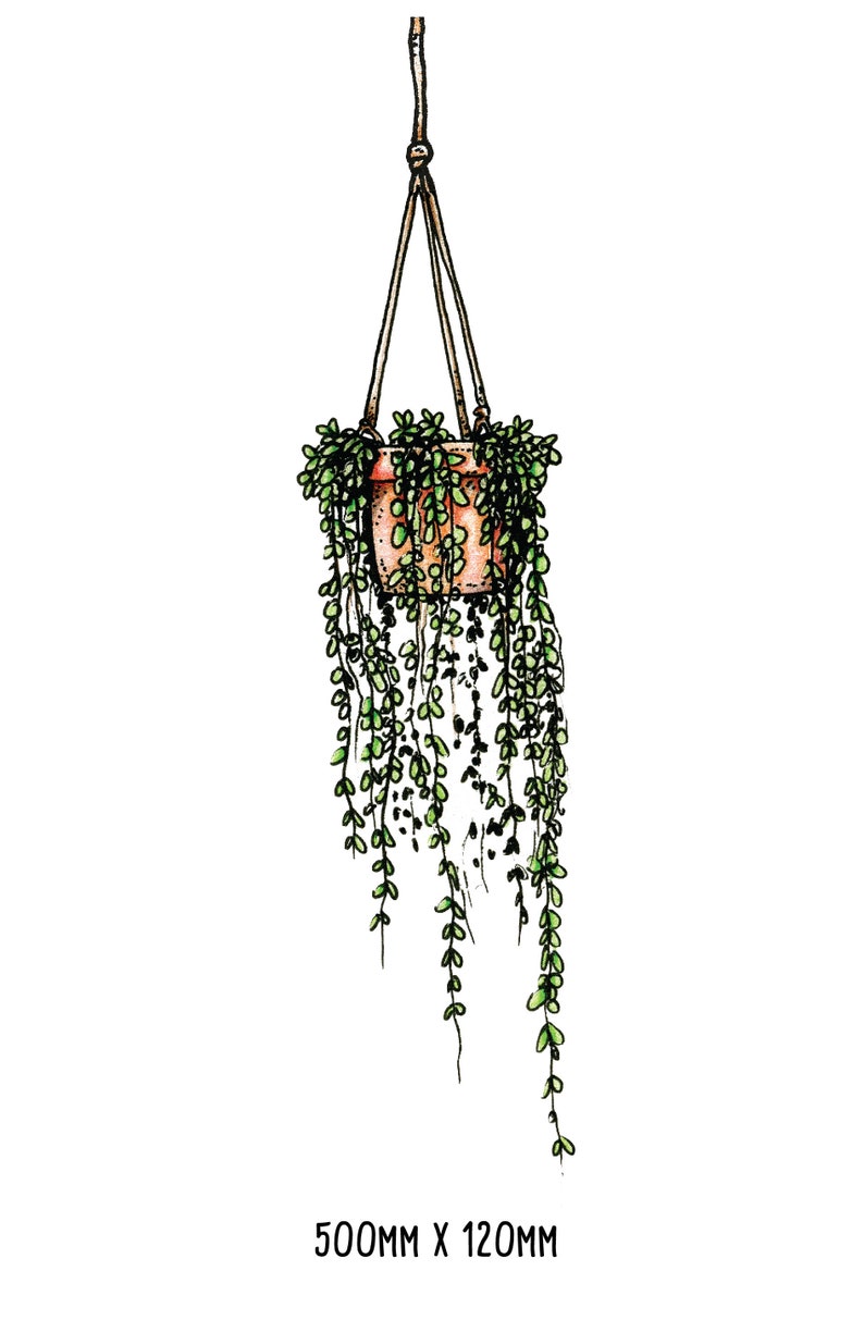 Illustrated Hanging Plants Window Stickers Reusable No - Etsy
