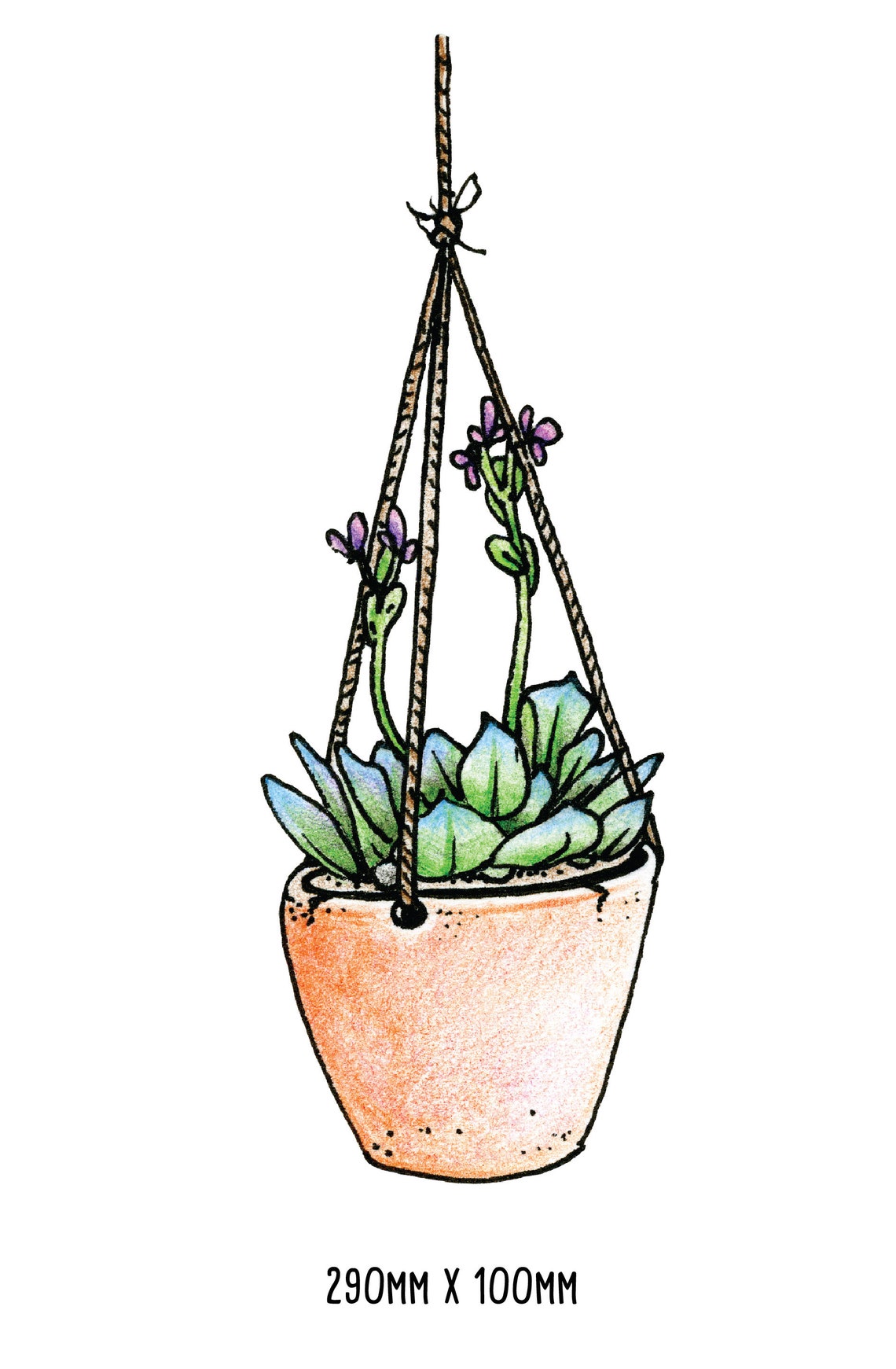 Illustrated Hanging Plants Window Stickers Reusable No | Etsy