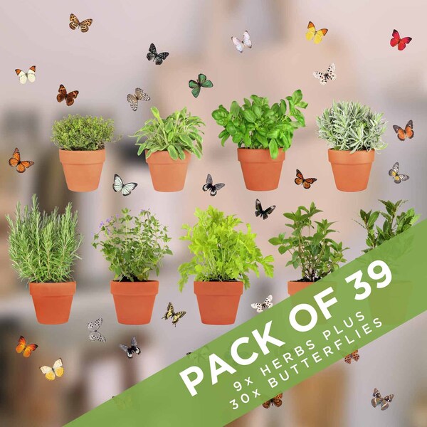 Clay Pot Decals - Etsy