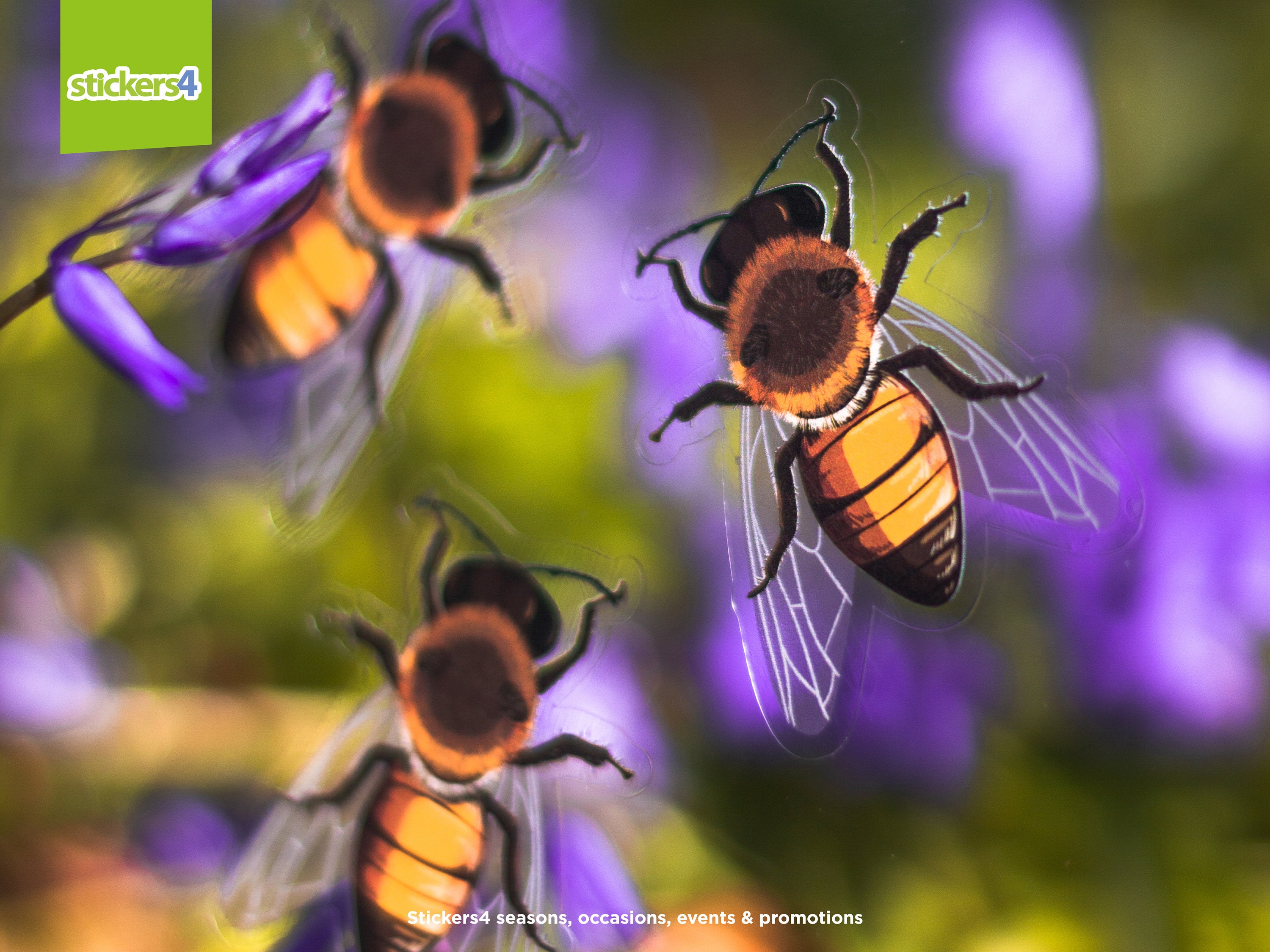 Bees 'N' Bugs DOUBLE SIDED Window Cling Stickers - Etsy UK