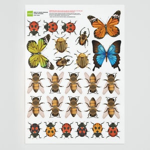 Bees 'N' Bugs DOUBLE SIDED Window Cling Stickers - Pack of 26 Insect ...
