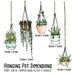 Illustrated Hanging Plants Window Stickers Reusable No Adhesive Double ...