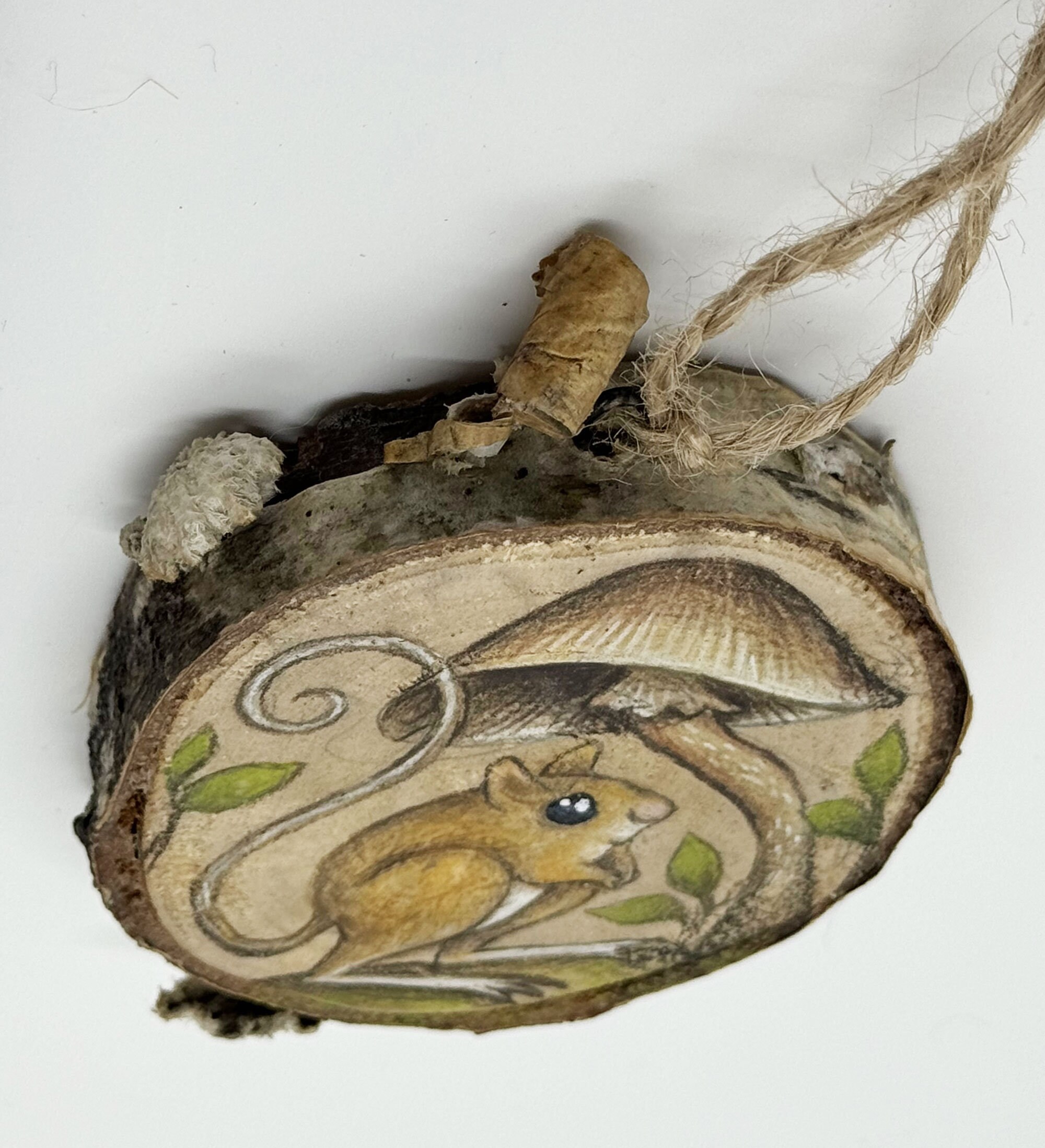 Pacific Jumping Mouse - Original Art on a Birch Slice - Etsy