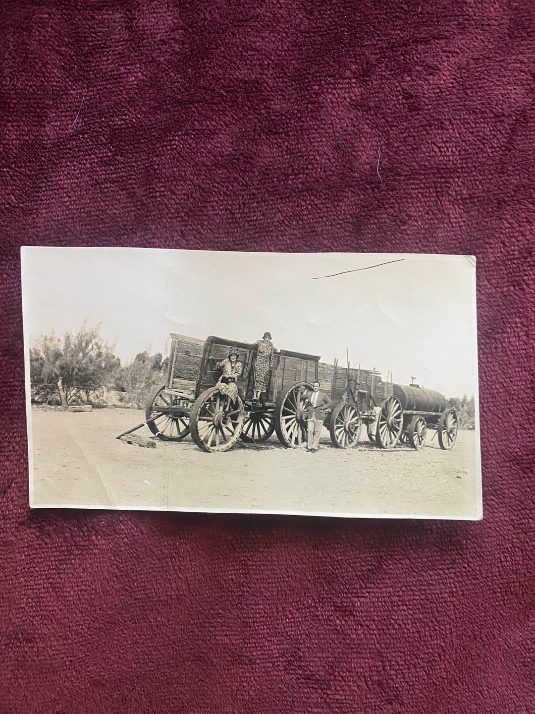 Antique Photograph Women on a Wagon Edwardian Early - Etsy