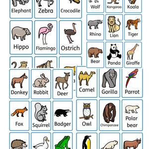 Animal Flashcards - Autism, SEN, Now and Next, Visual Aid - Etsy