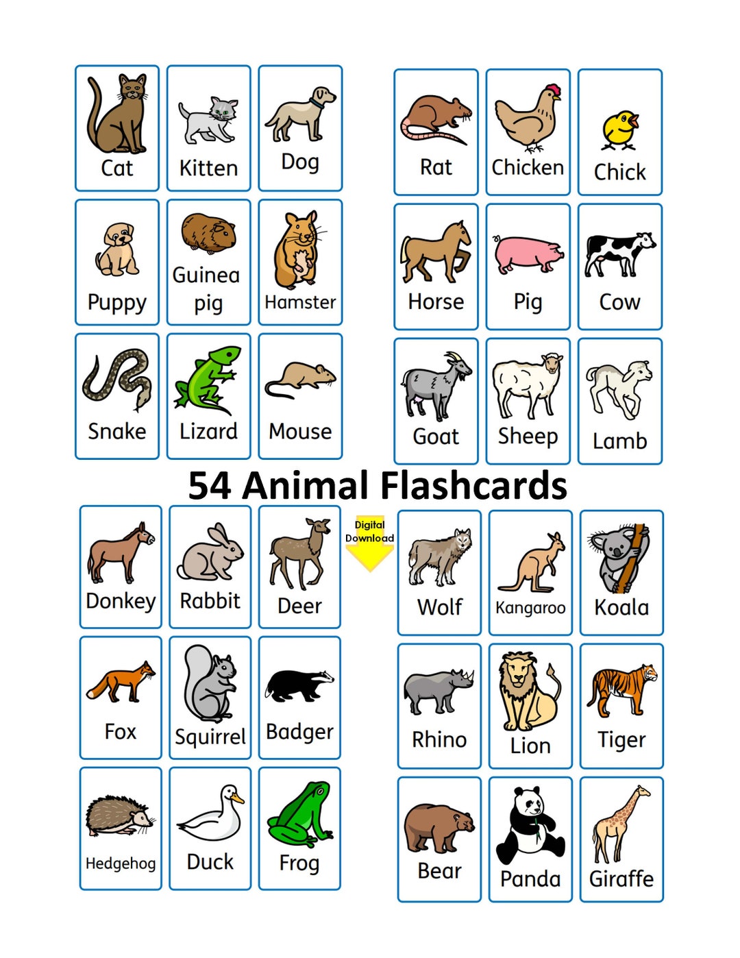 Animal Flashcards - Autism, SEN, Now and Next, Visual Aid - Etsy