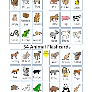 Animal Flashcards - Autism, SEN, Now and Next, Visual Aid - Etsy