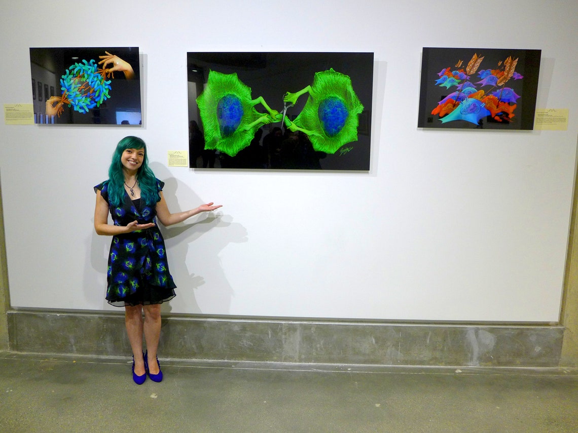 Chromosome Segregation (green) - Science Art Print on Paper, Canvas ...