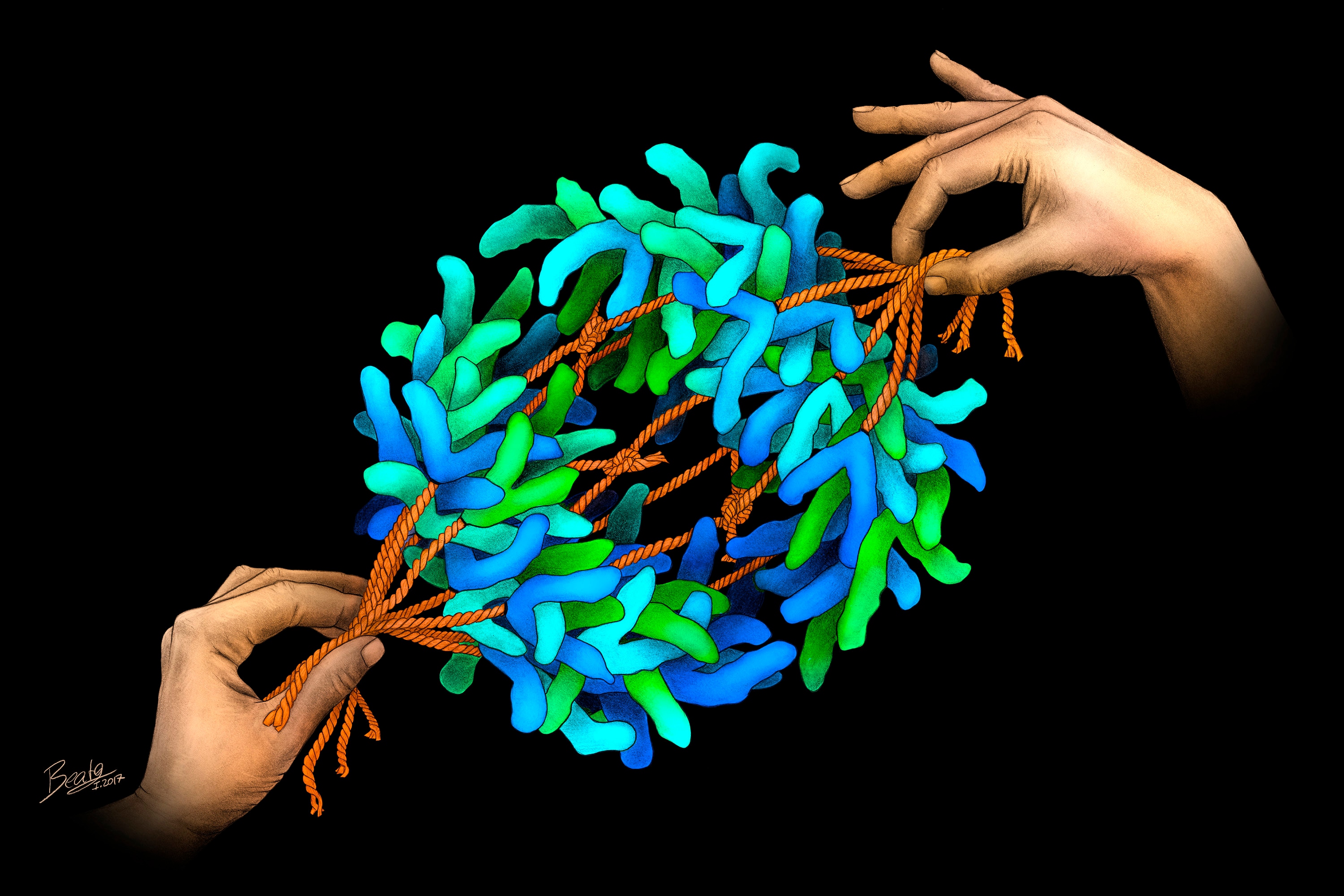 Chromosome Segregation (green) - Science Art Print on Paper, Canvas ...