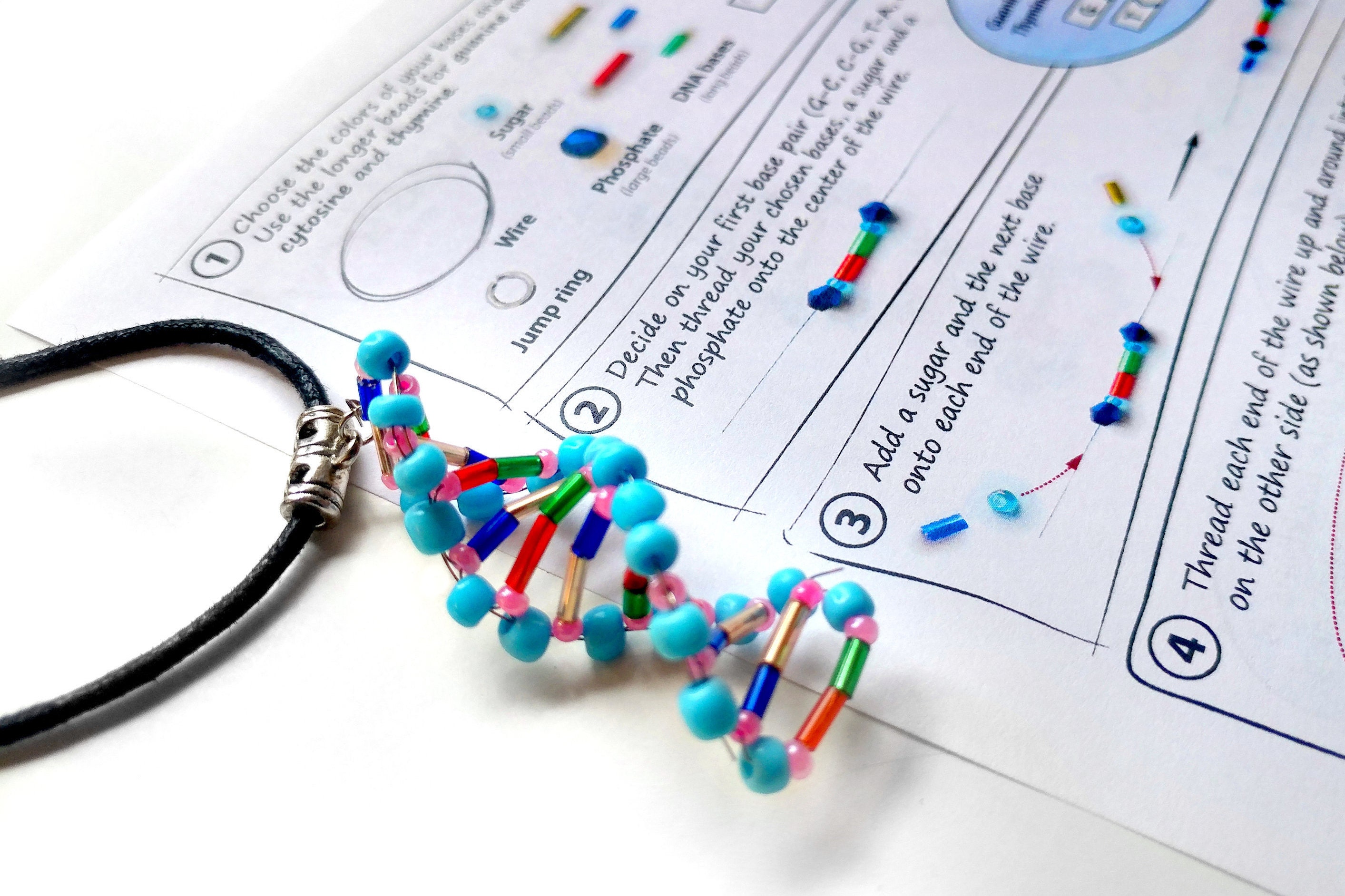 DIY Jewelry Kit for DNA Necklace or Earrings With Tutorial, STEM Craft ...