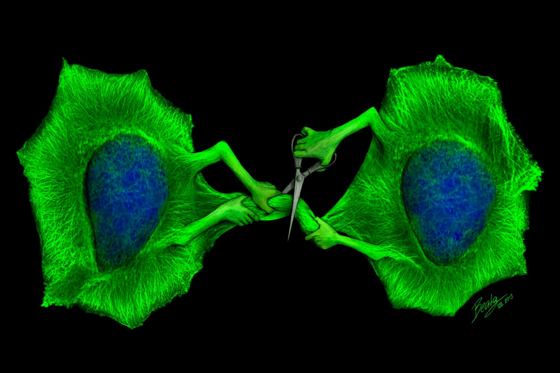 Science Art Stickers Set of 5 molecular Biology Drawings - Etsy