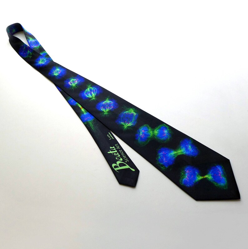 Cell Division Science Tie microscopy Fashion Science Art - Etsy