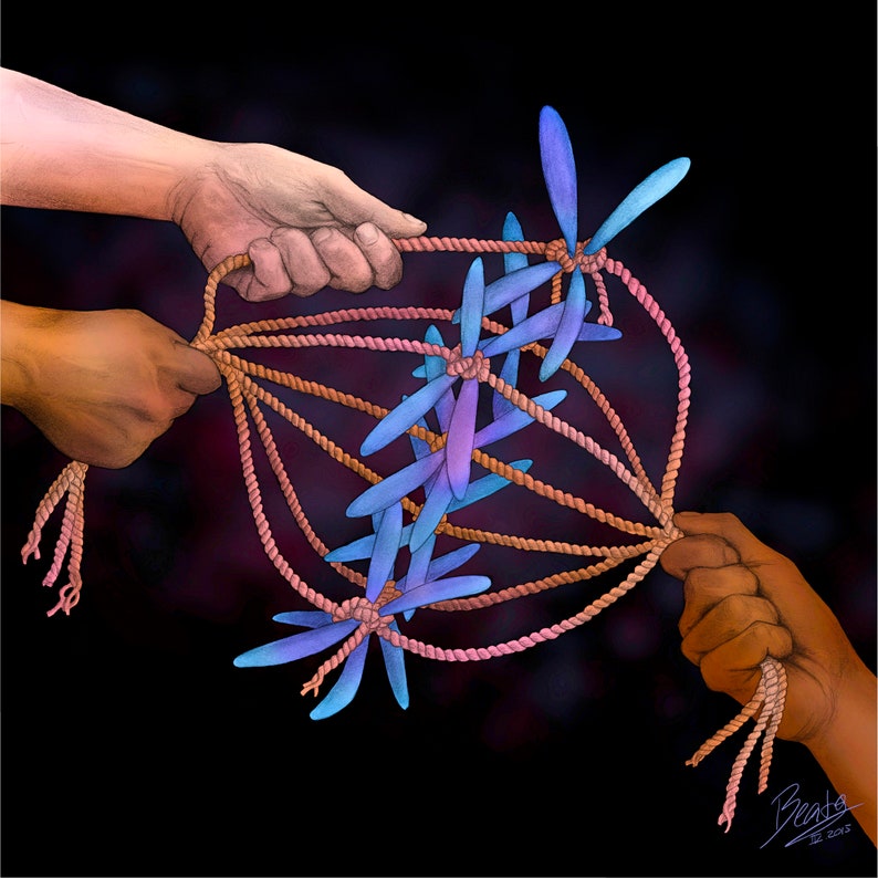 Mitotic Spindle Scarf / Tapestry (molecular Biology, Genetics, Cells ...