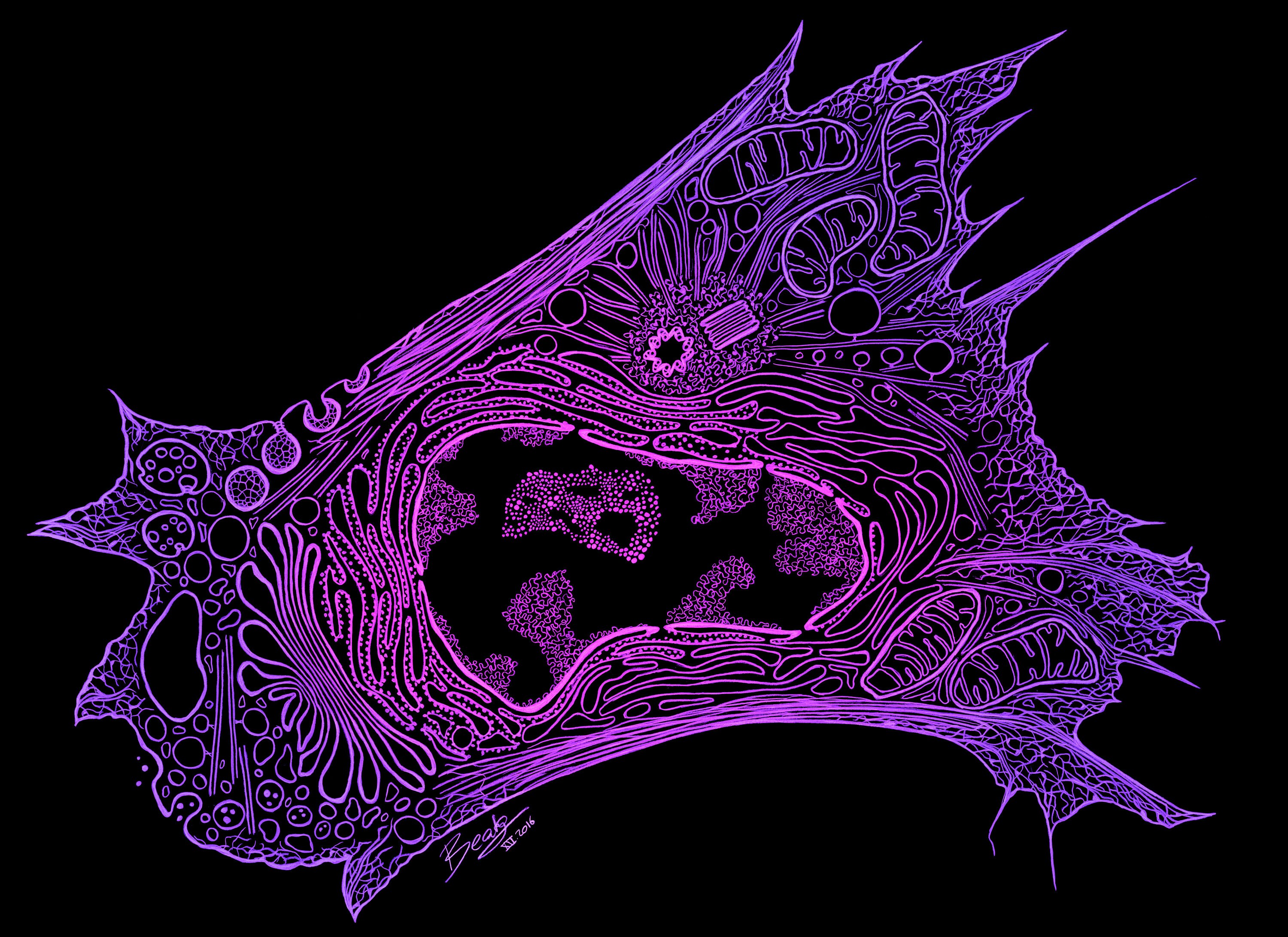 Molecular Structures (pink) - Science Art Print on Paper, Canvas ...