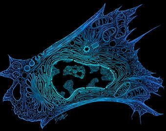 Cell Division Science Art Print on Paper, Canvas, Acrylic molecular ...