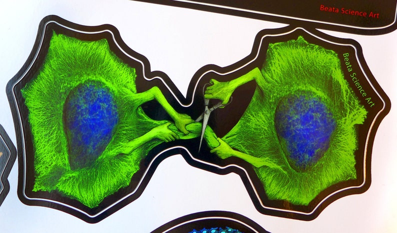 Science Art Stickers Set of 5 molecular Biology Drawings | Etsy