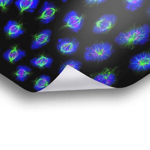 Chromatin Pyramids (blue) - Science Art Print on Paper, Canvas, Acrylic ...