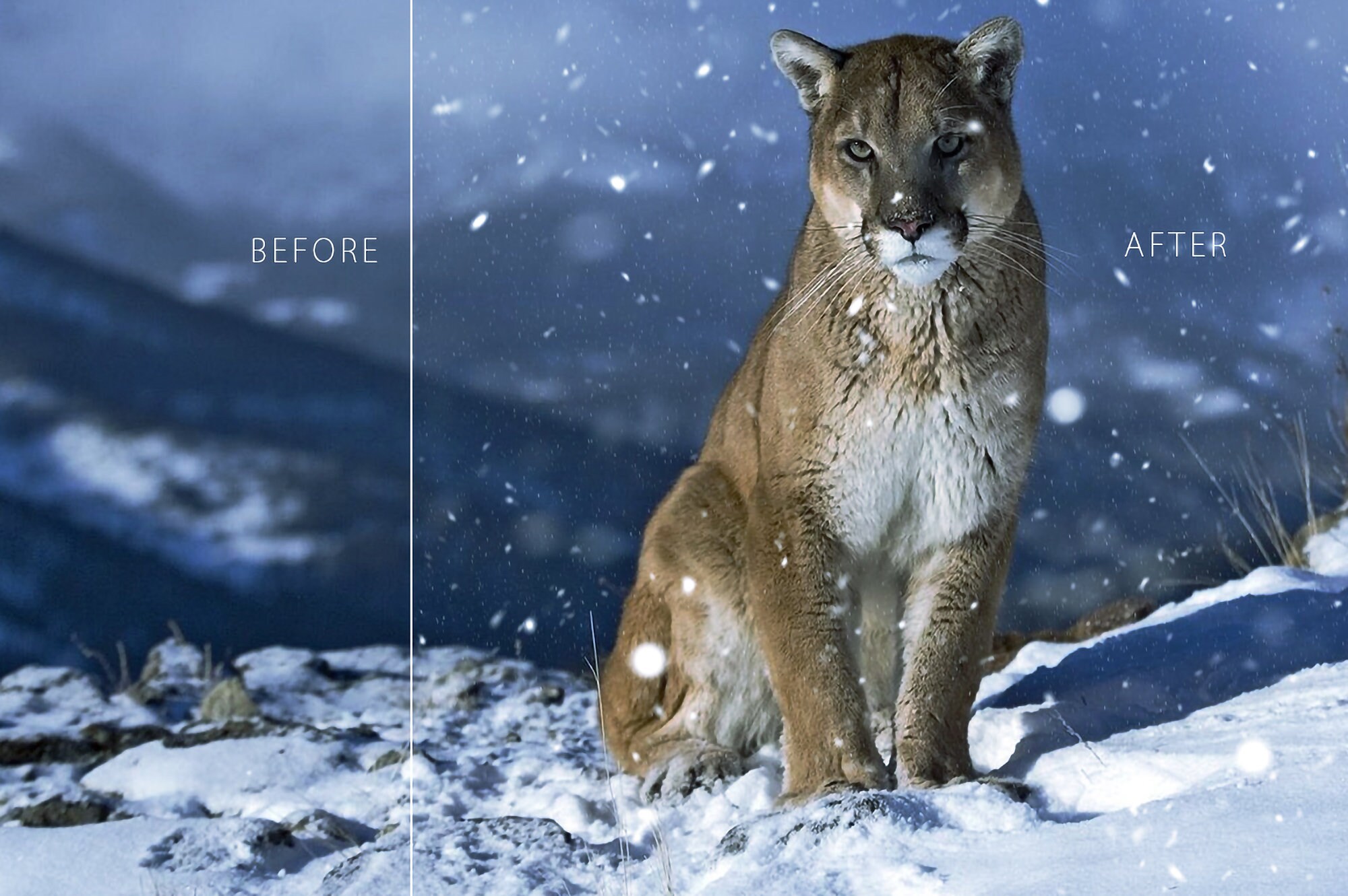 Realistic Snow Overlays, Realistic Falling Snow, Photoshop Overlays ...