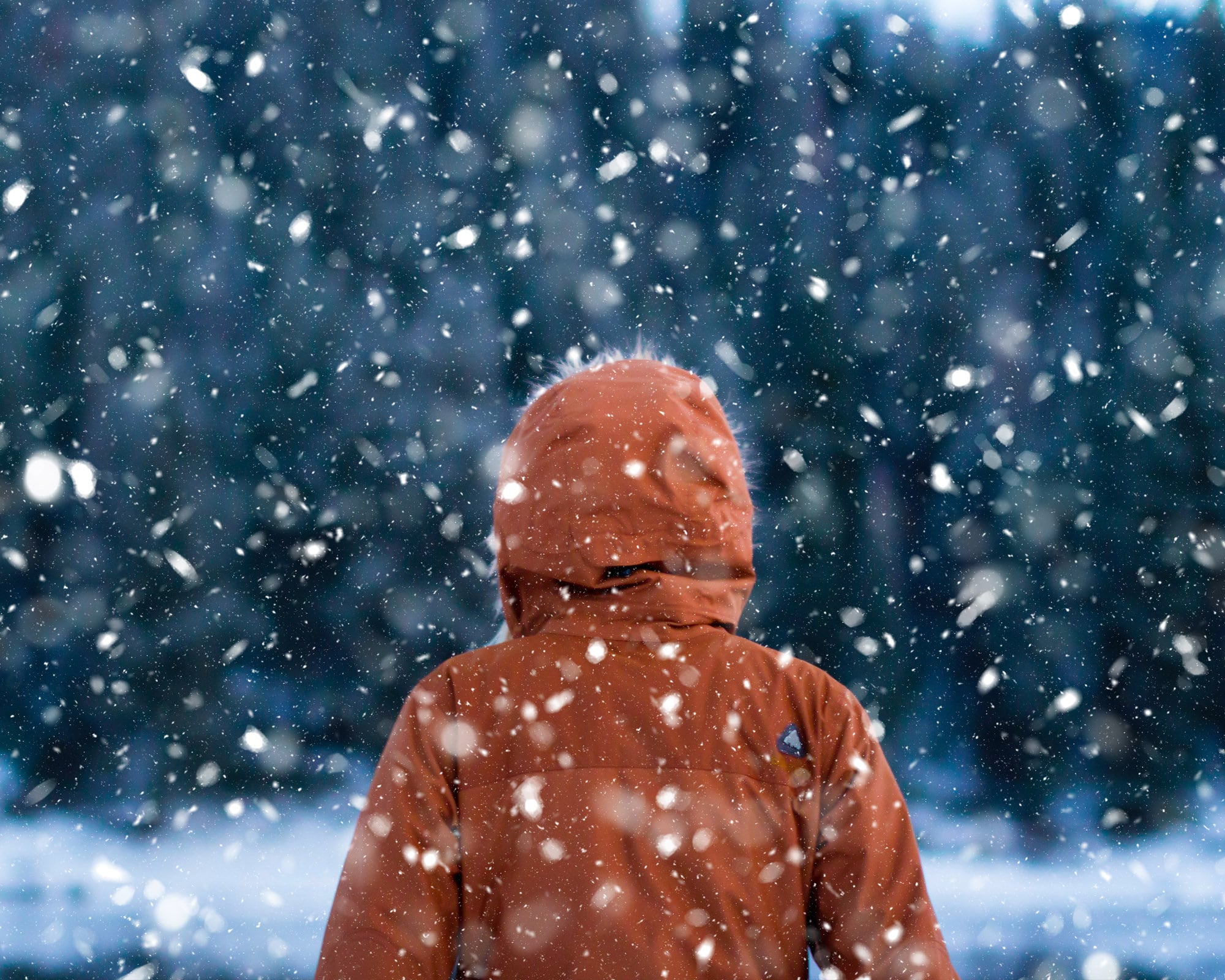 Realistic Snow Overlays Photoshop Action, Falling Snow, Christmas ...