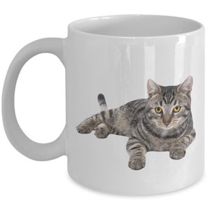 Grey Tabby Cat Mug - Funny Tea Hot Cocoa Coffee Cup - Novelty Birthday ...