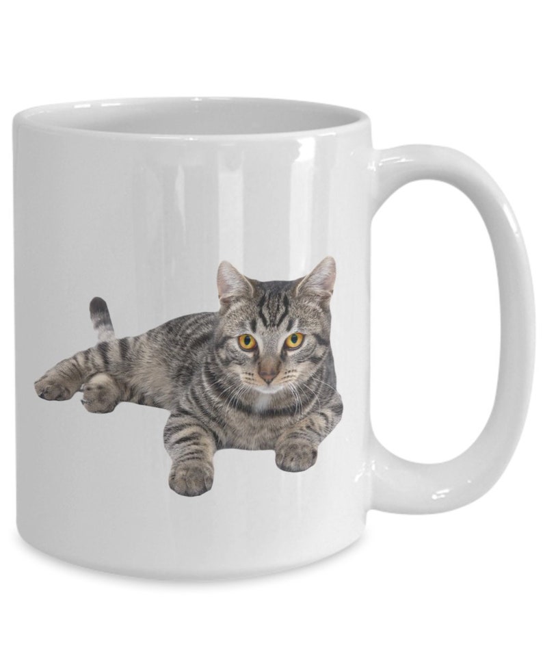 Grey Tabby Cat Mug Funny Tea Hot Cocoa Coffee Cup Novelty - Etsy