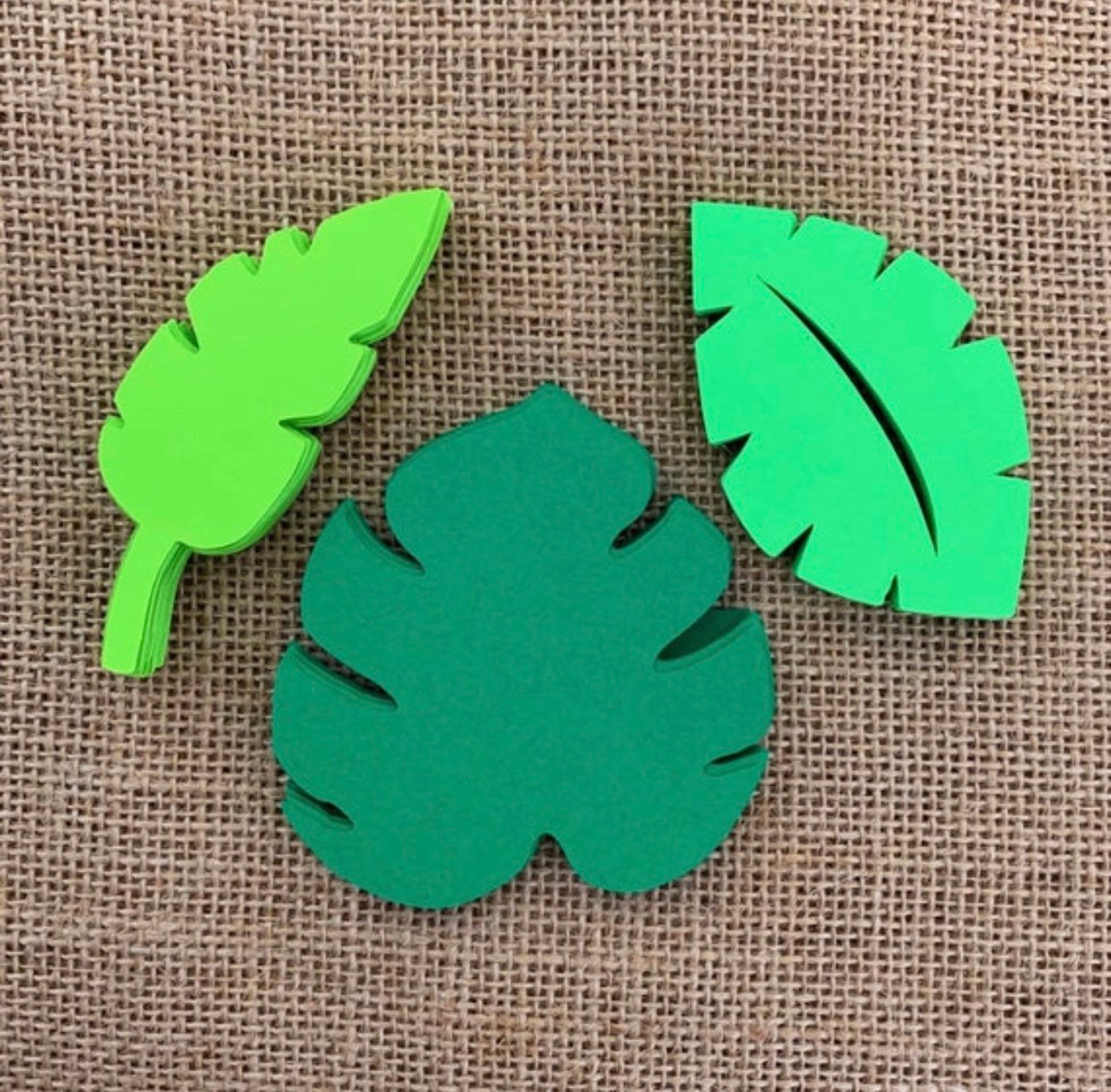 Palm Leaf Paper Cut Outs Set of 25 Palm Leaf Shaped Die Cuts - Etsy