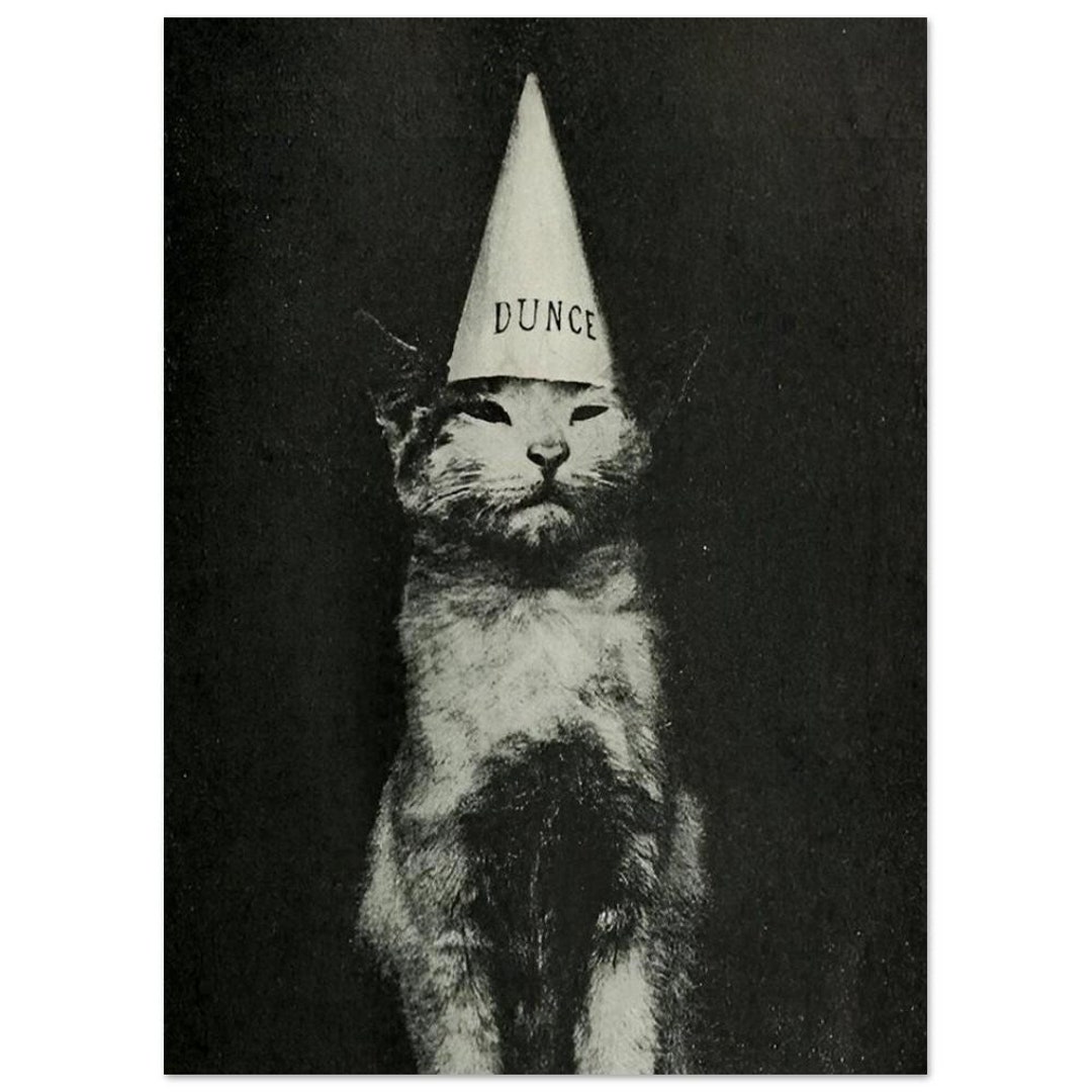 The ‘cat in a Dunce Hat’ Poster | Funny Decor for Cat Lovers - Etsy