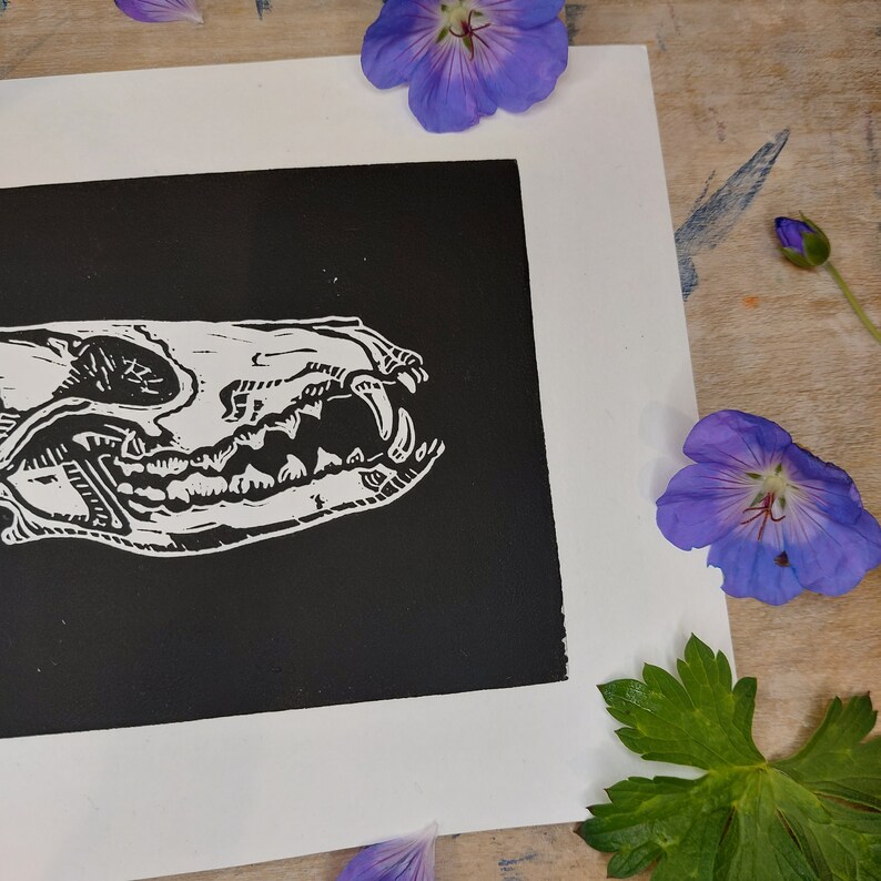 Vulpes Lino Print: a Simplistic Fox Skull Anatomy Piece - Etsy