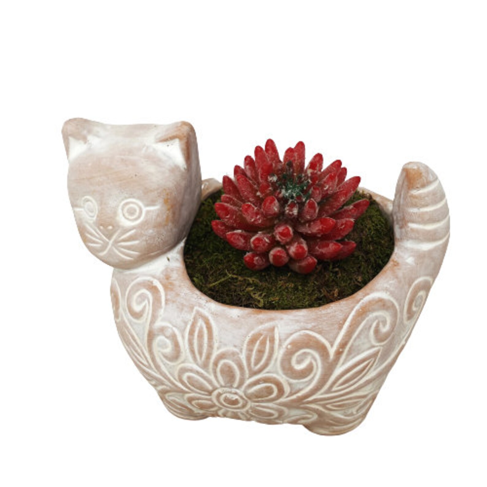 Cat planter pot cat planter large ceramic cat planter | Etsy