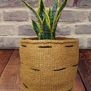 Planter Baskets Large Woven Basket Planter 10 Inch Baskets | Etsy