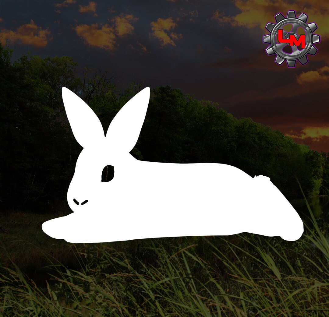 Rabbit Decal | Bunny Vinyl Sticker | Rabbit Love Sticker | Cute Pet ...