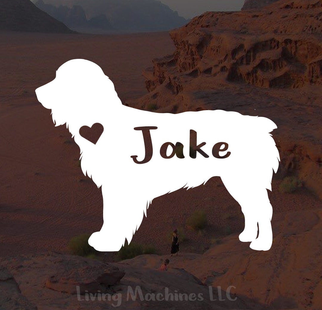 Boykin Spaniel Dog Decal | Custom Personalized Boykin Spaniel Decal ...