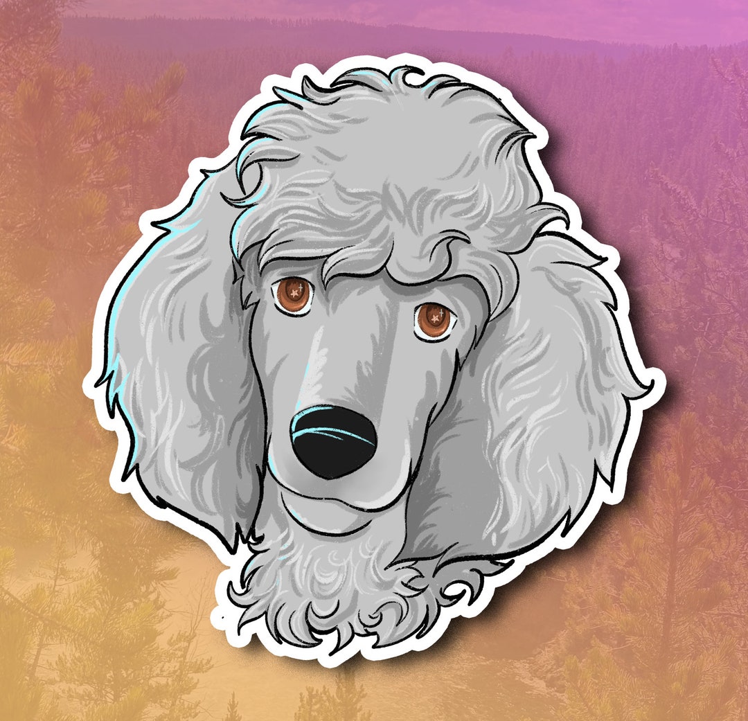 Hand Drawn Poodle Sticker | Weatherproof Vinyl Decal - Etsy