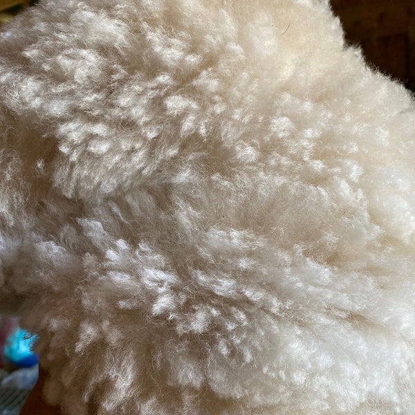 Alpaca Wool Blanket - Etsy