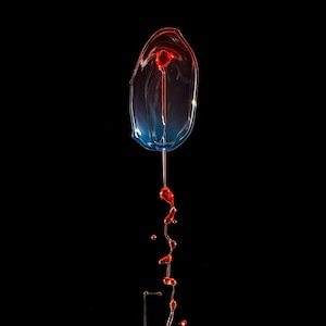 Multi-color Water Drop Splash Photography-digital Download - Etsy