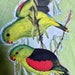 Upcycled Denim Jacket With Birds - Etsy