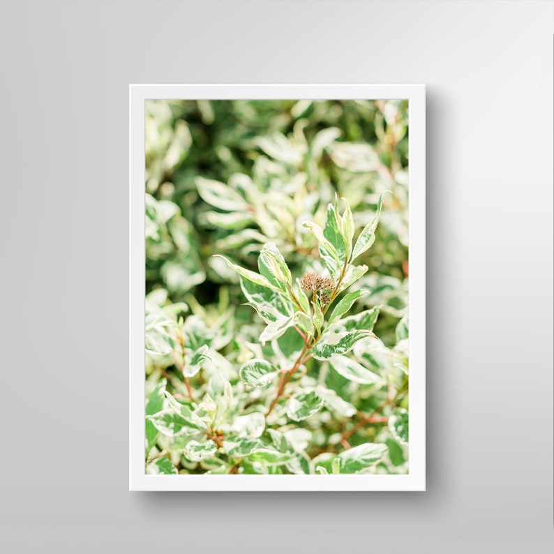 Greenery Print - Etsy