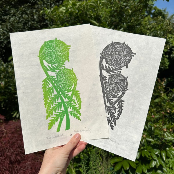 Fiddlehead Fern - Etsy