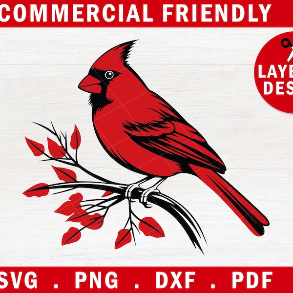 Cardinal Bird - Etsy