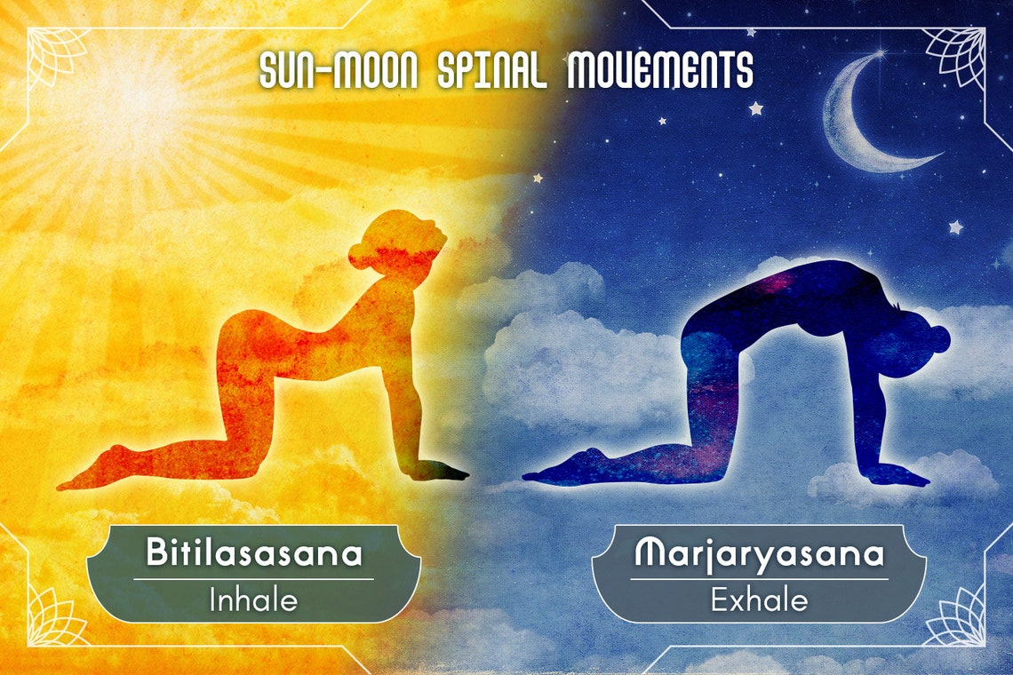 Cat Cow Chart, Sun Moon Spinal Movements Chart, Yoga Cart - Etsy