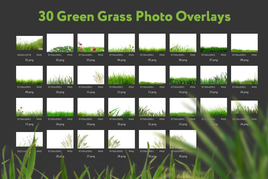 30 Green Grass Photo Overlays Photoshop Overlays Grass | Etsy