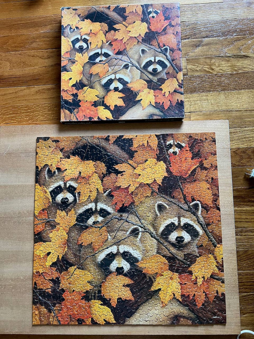 Springbok Jigsaw Puzzle Roving Rascals Racoon 500 Pieces - Etsy