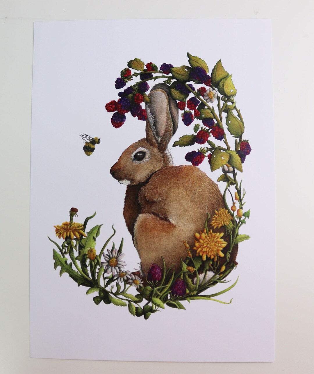 Rabbit and the Bee A4 Print - Etsy