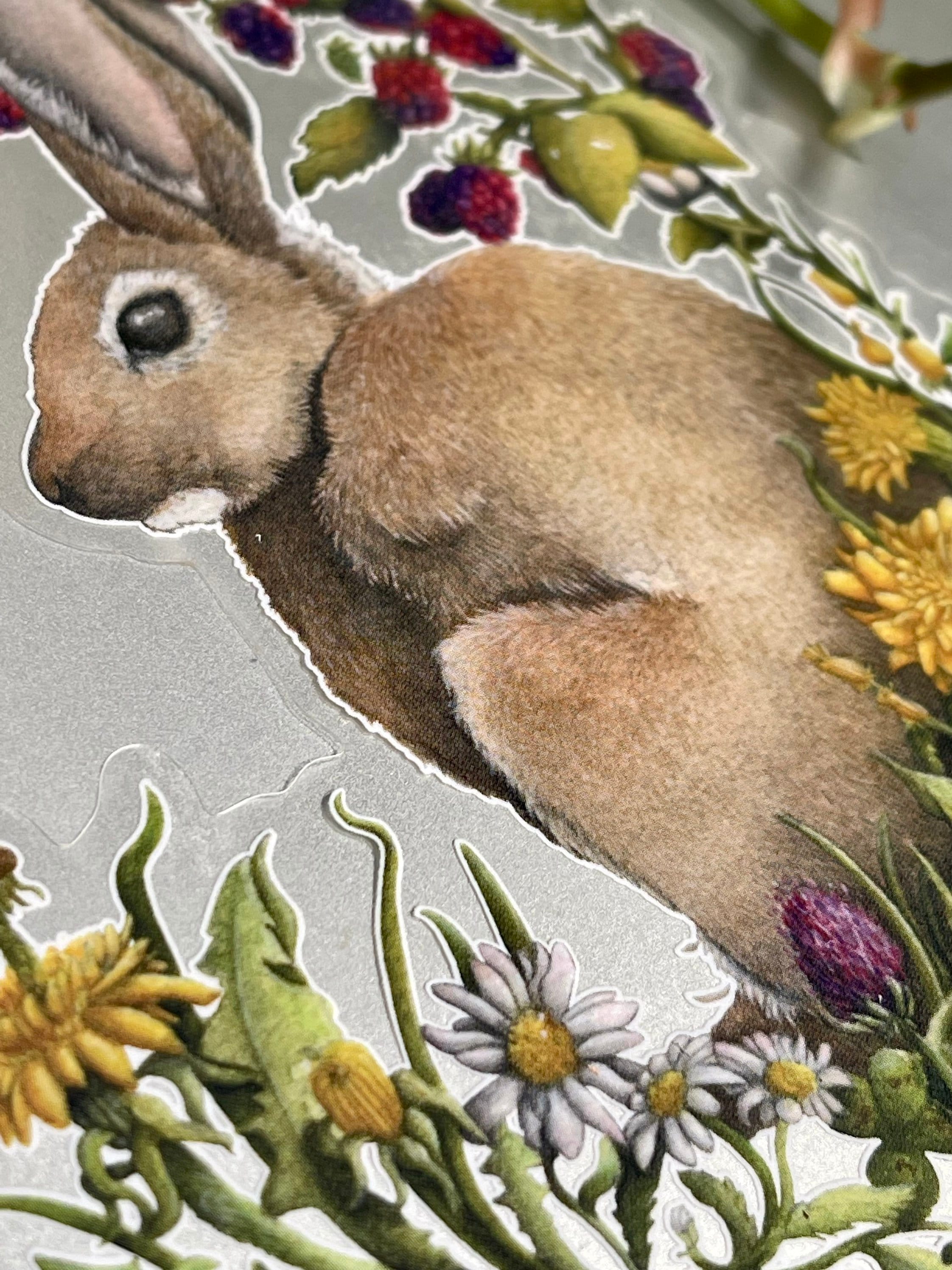 Large Rabbit and the Bee Transparent Sticker - Etsy