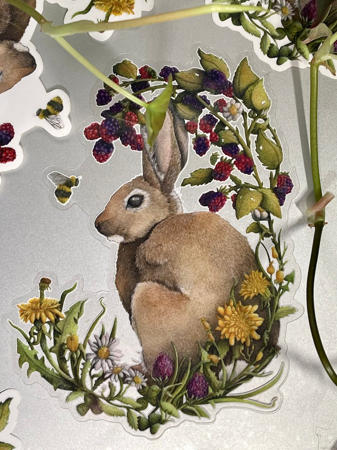 Large Rabbit and the Bee Transparent Sticker - Etsy