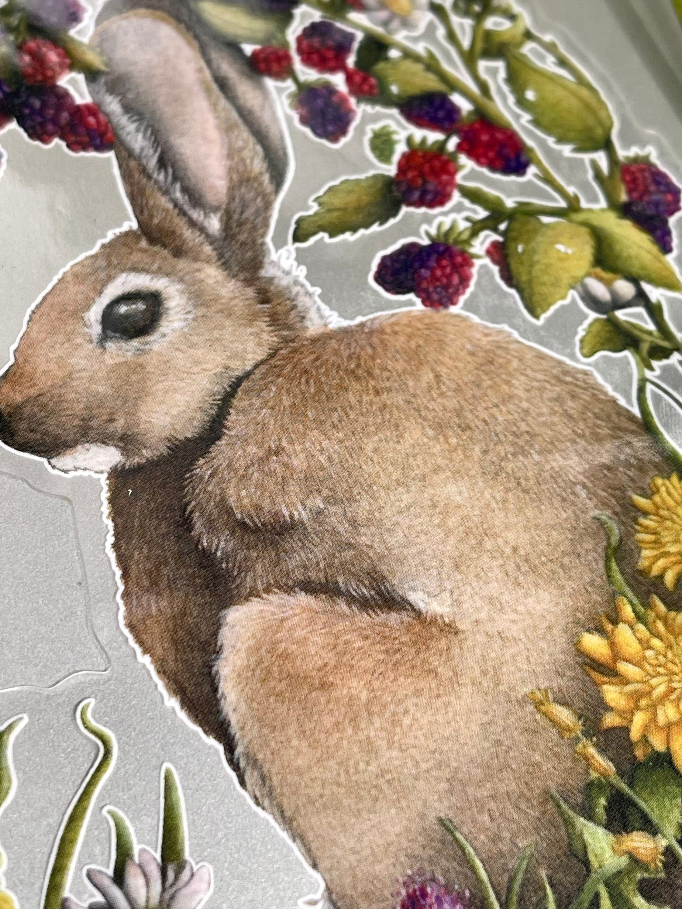 Large Rabbit and the Bee Transparent Sticker - Etsy