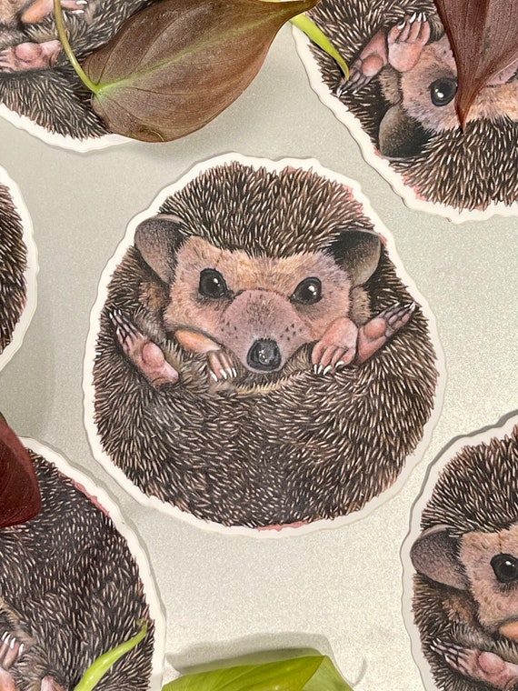 Hedgehog Matte Vinyl Sticker | Etsy