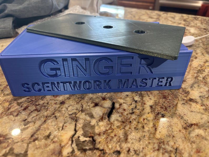 3D Printed Plastic Scent Work Slider Tin New Title Awards Trophies ...